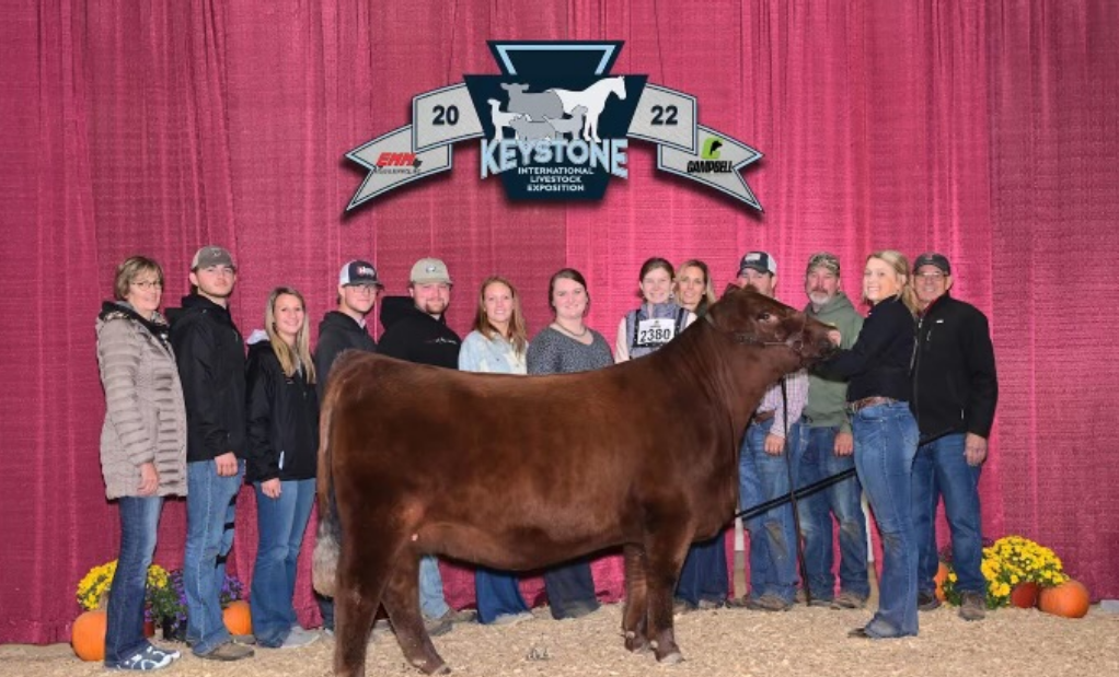 May is National Beef Month | ACNB Bank