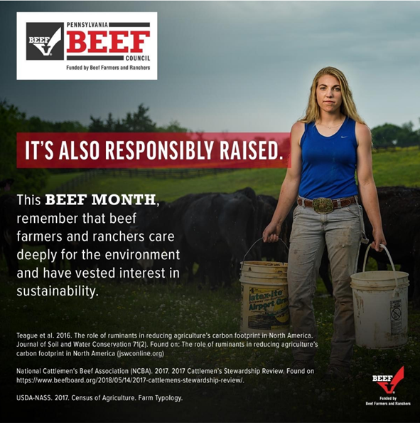 May is National Beef Month | ACNB Bank