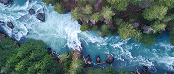 Online & Mobile | Avidbank