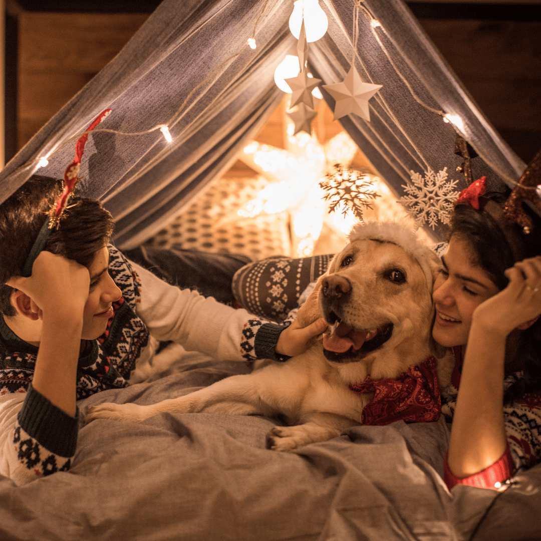 First Atlantic Federal Credit Union | Bank Like a Local