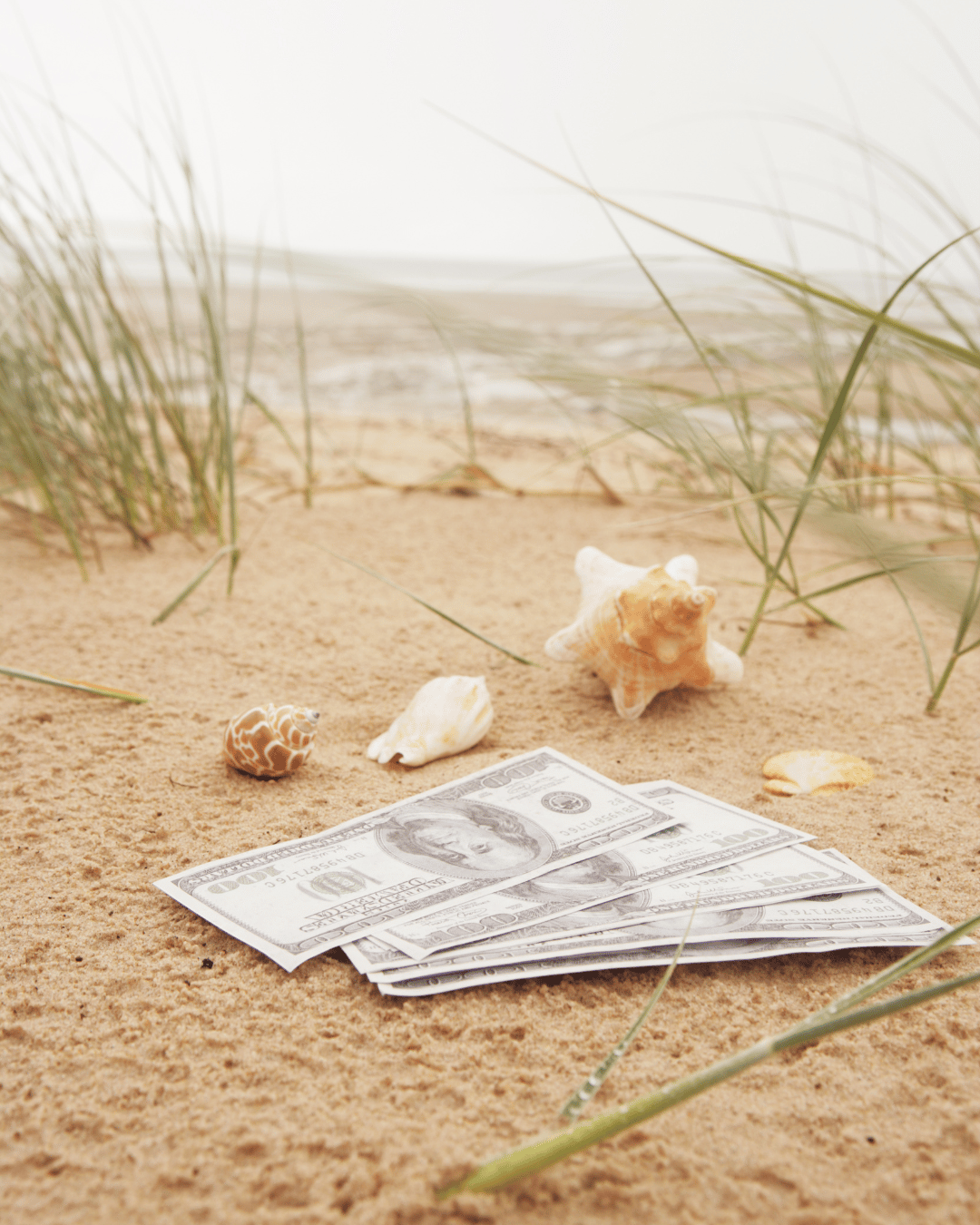 Member Savings Account | First Atlantic Federal Credit Union