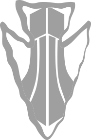 Brave Homepage | First National Bank