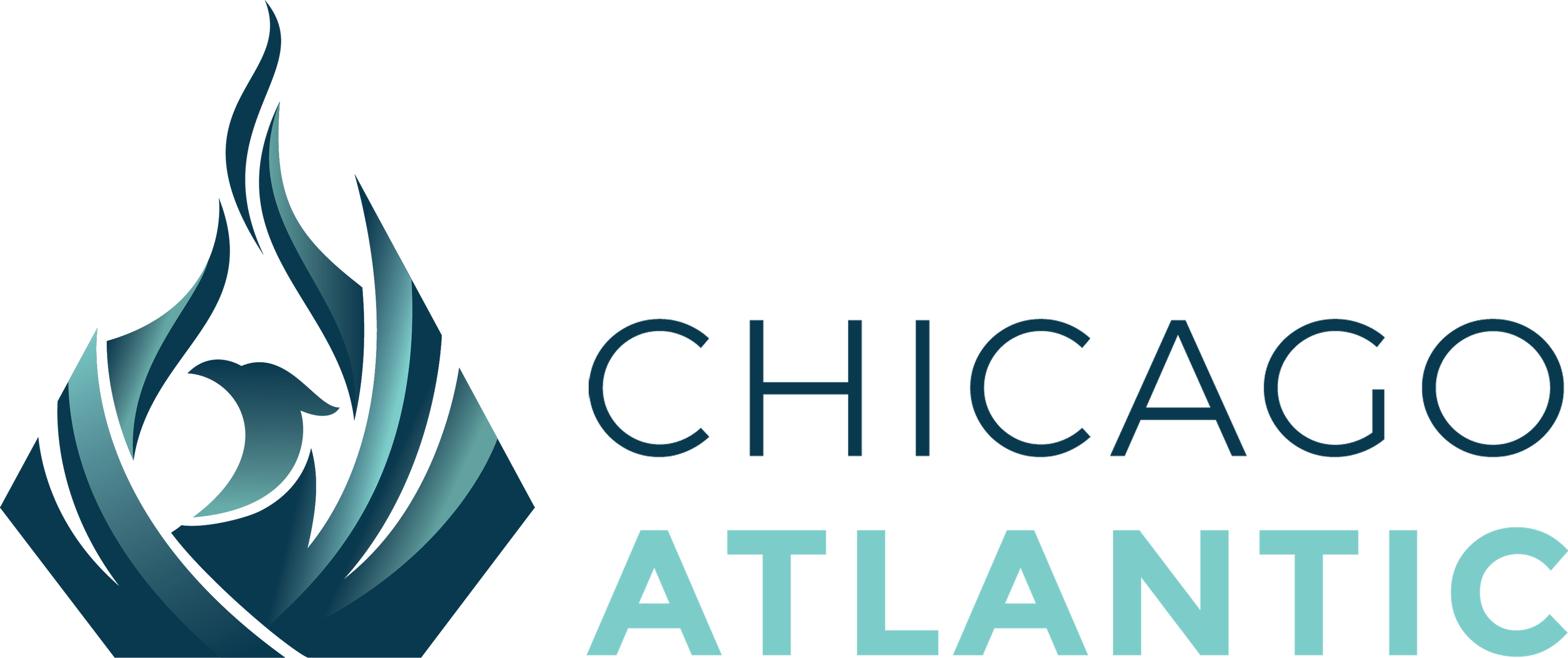 Transaction Experience | Metropolitan Capital Bank & Trust