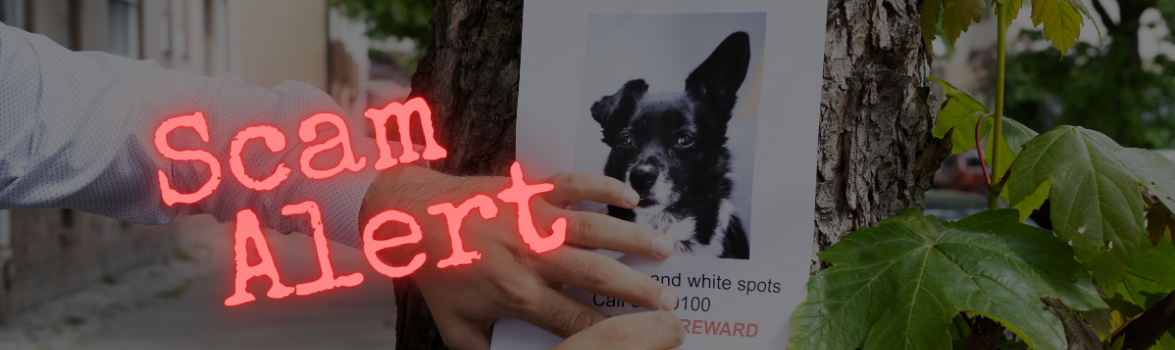 Security Center | MVB Bank