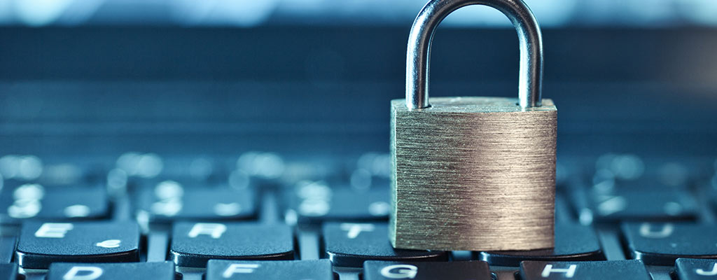 Cybersecurity 101: Digital Spring Cleaning | Plumas Bank