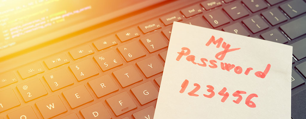 Your Simple, Practical Guide to Creating Safe Passwords | Plumas Bank