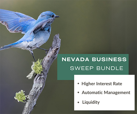 Nevada Business Sweep Bundle | Plumas Bank