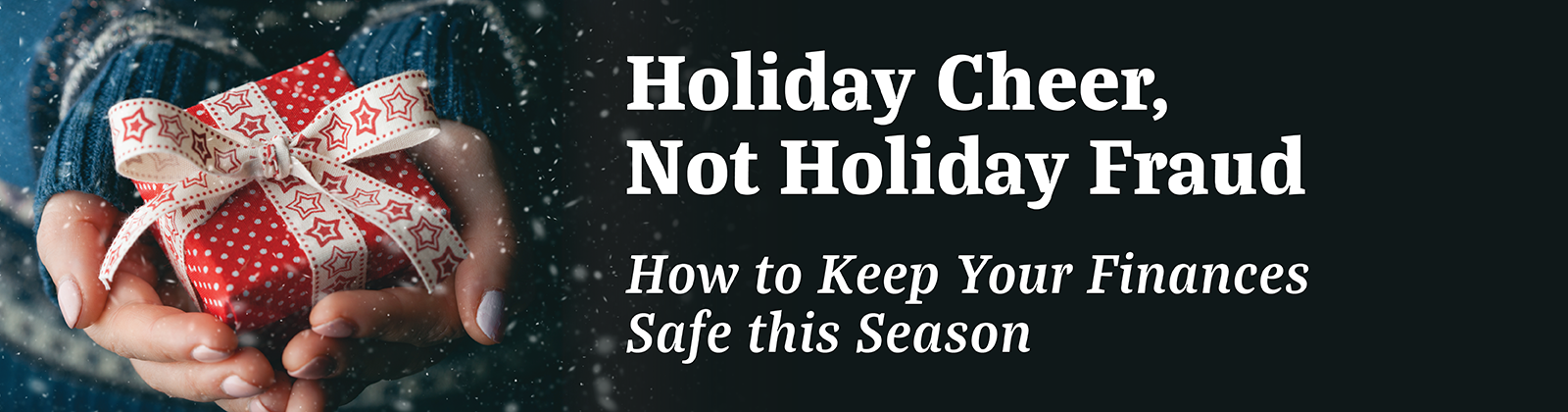 Holiday Cheer, Not Holiday Fraud: How to Keep Your Finances Safe ...